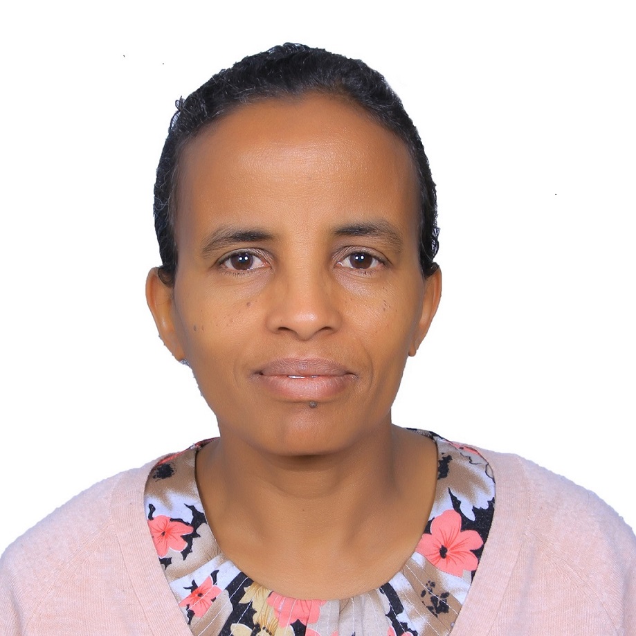 PODCASTS | n4d group